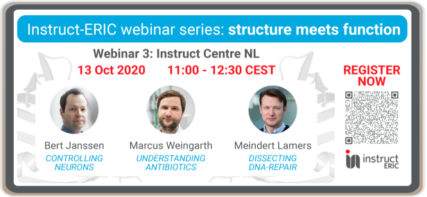 Coming up this October: Webinar 'Structure meets function' - NeCEN ...